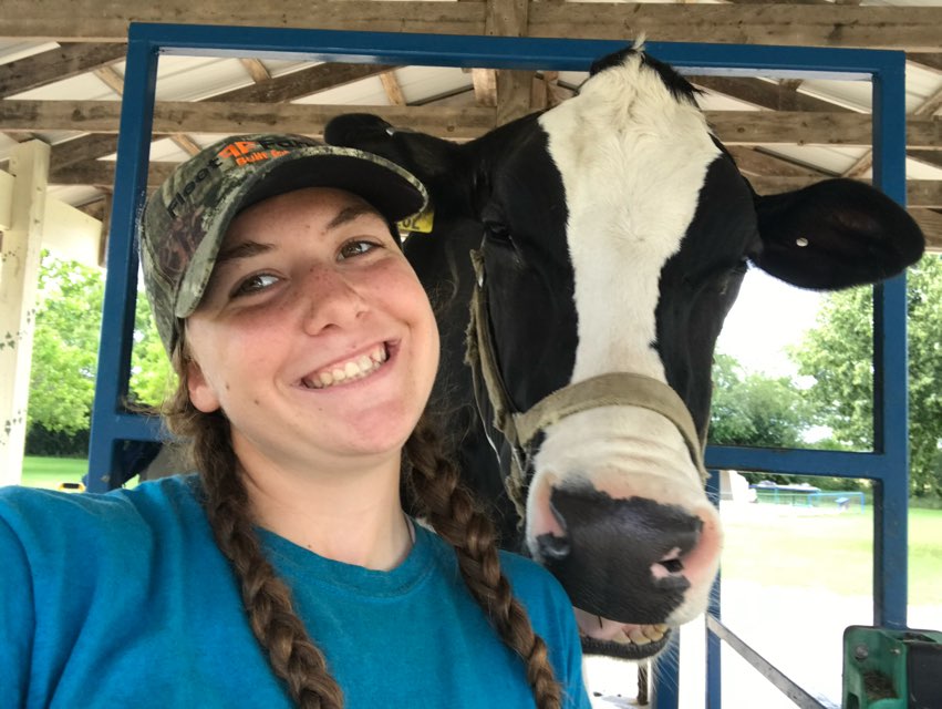 Michelle Edmonds Favorites Moves, TV & Books | Likewise, Inc